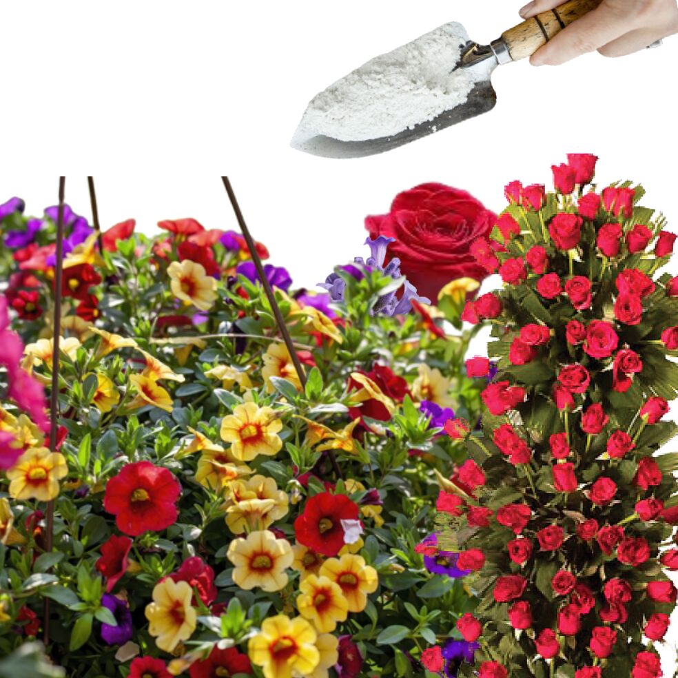 Flowers Fertilizer - Balanced Nutrients for Blooming Plants – Moji Mall