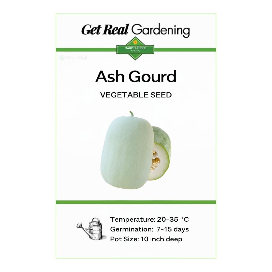Buy Ash Gourd Seeds – Grow Safed Petha at Home – Moji Mall