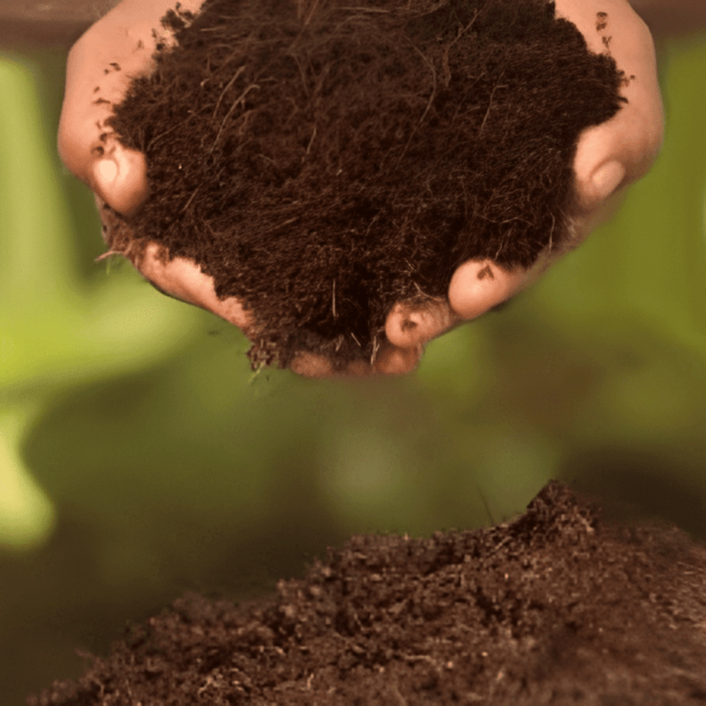 Coco Peat for Plants – Best Soil Base for Pots – Moji Mall