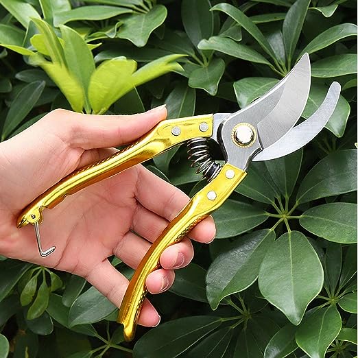 Flower Cutter - Precise Cutting for Healthy Plants – Moji Mall