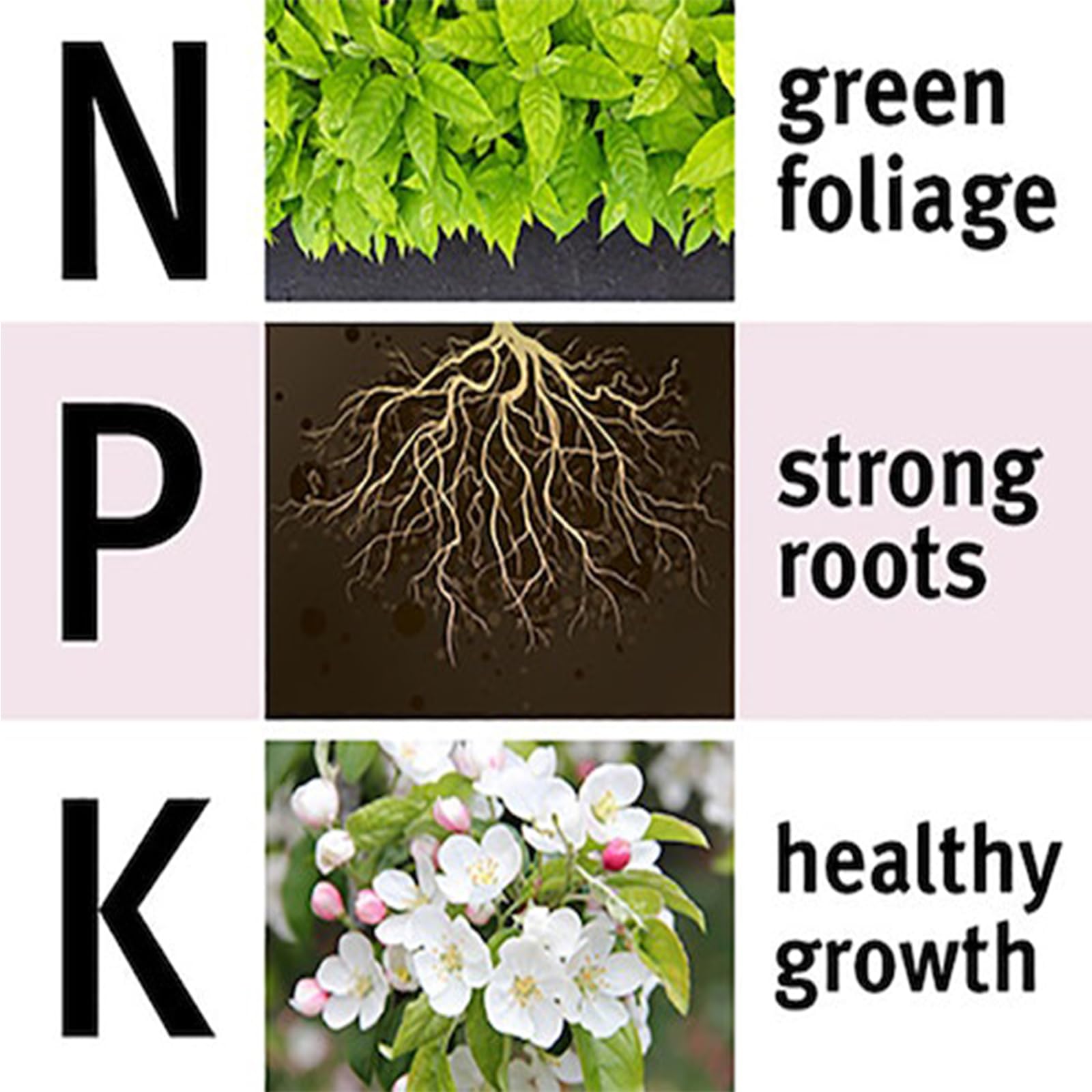 NPK 20-20-20 Fertilizer – All-in-One Feed for Plants – Moji Mall