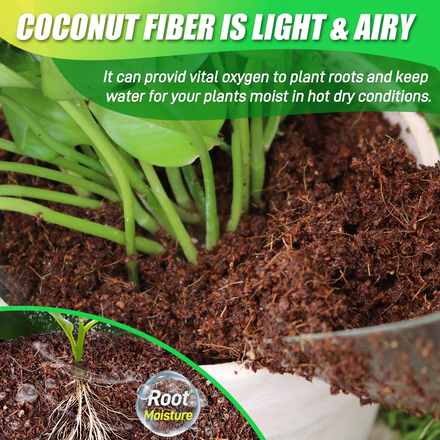 Coco Peat for Plants – Best Soil Base for Pots – Moji Mall