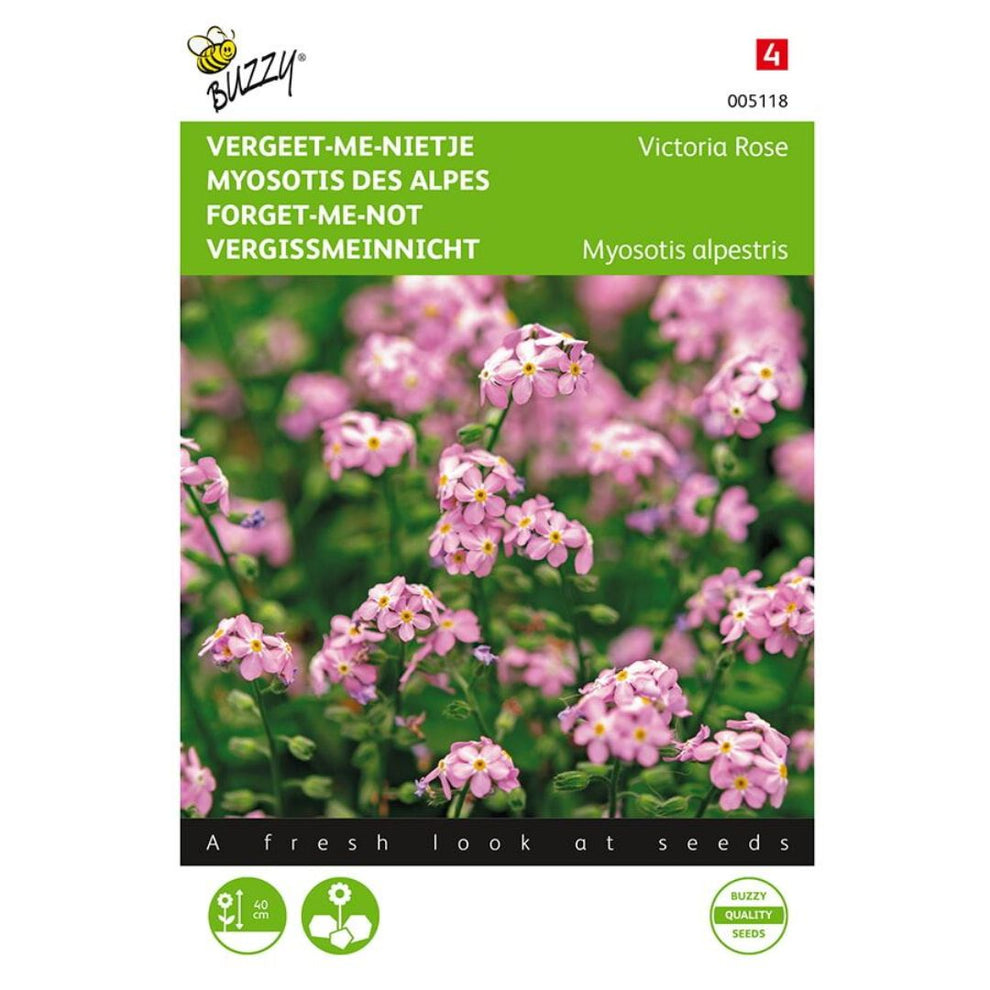 Forget-Me-Not Rose Color – Winter Flower Seeds – Moji Mall