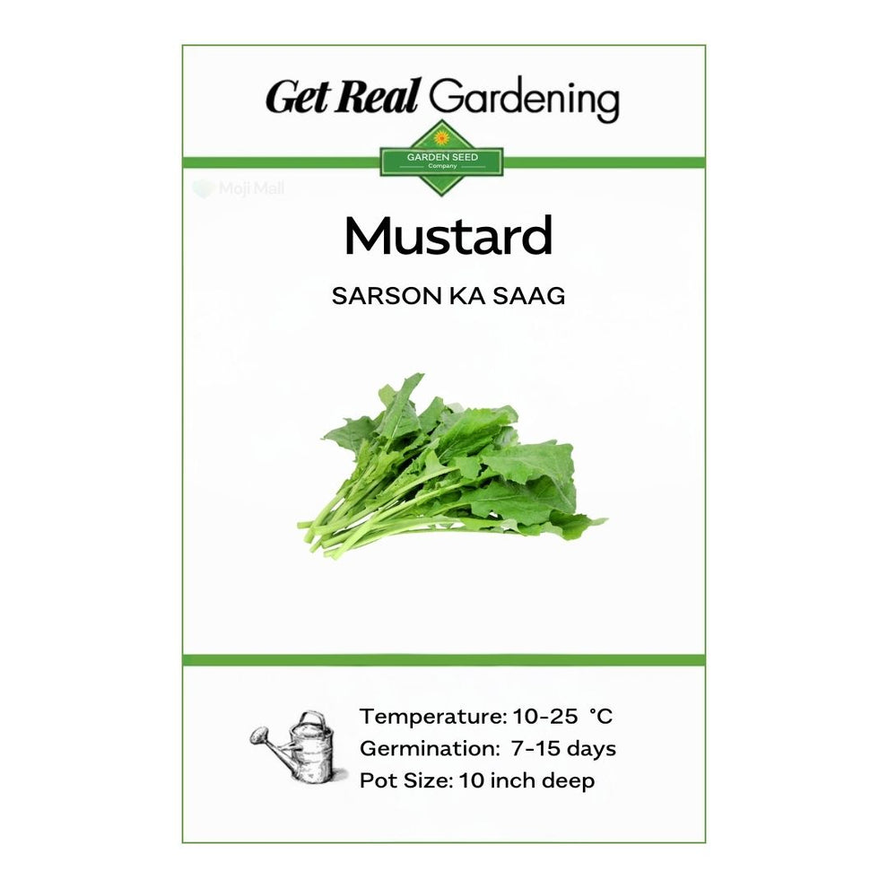 Mustard Sarson Saag Seeds – Winter Leafy Vegetable – Moji Mall