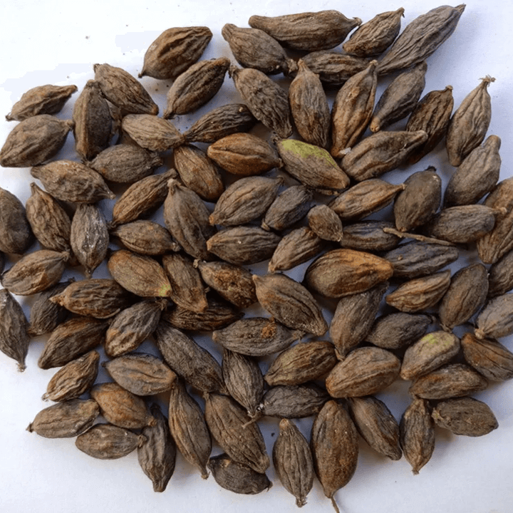 Buy Tree Seeds Online – Easy to Grow & Fresh – Moji Mall